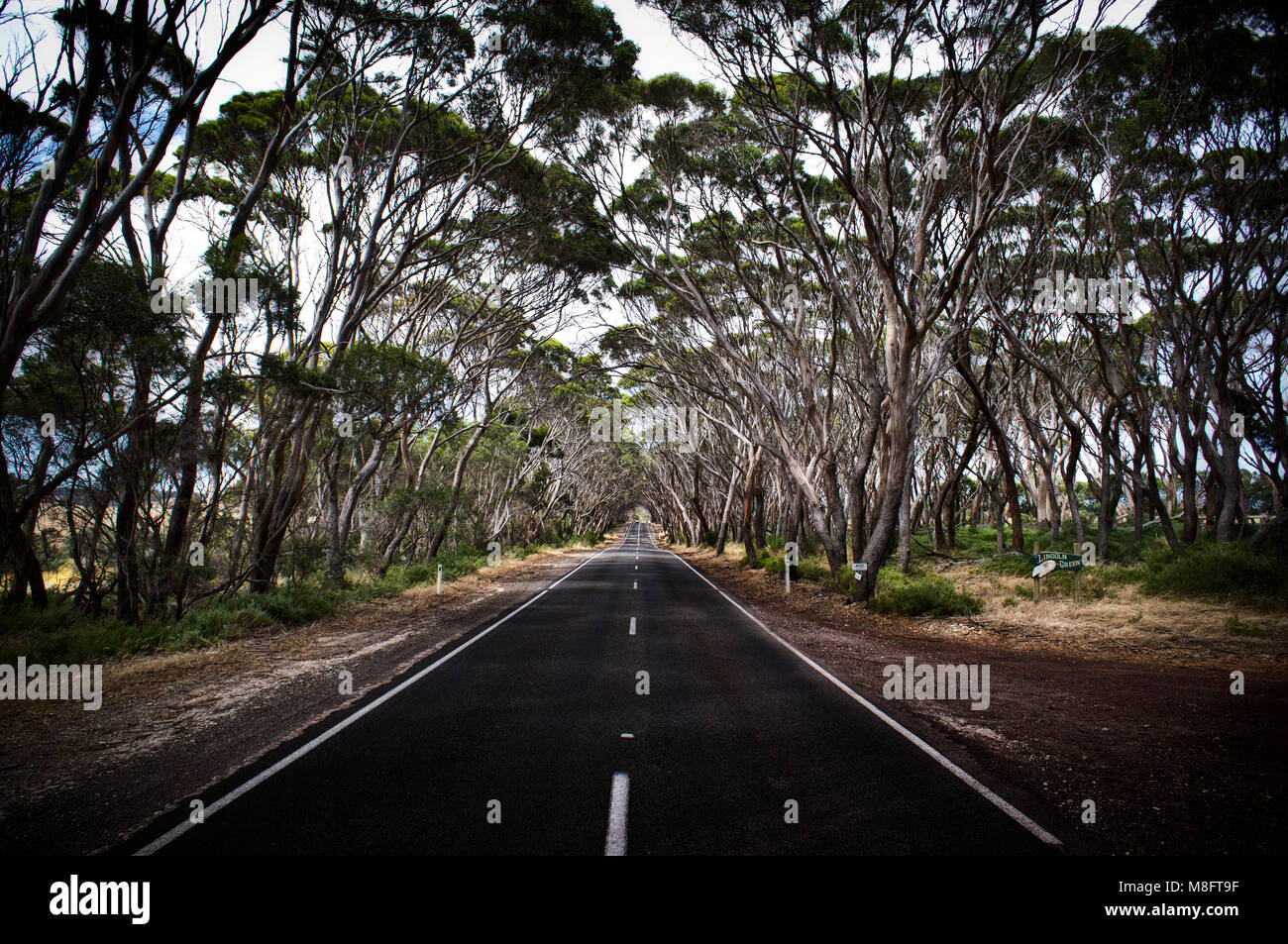 Bitumen road hi-res stock photography and images - Alamy
