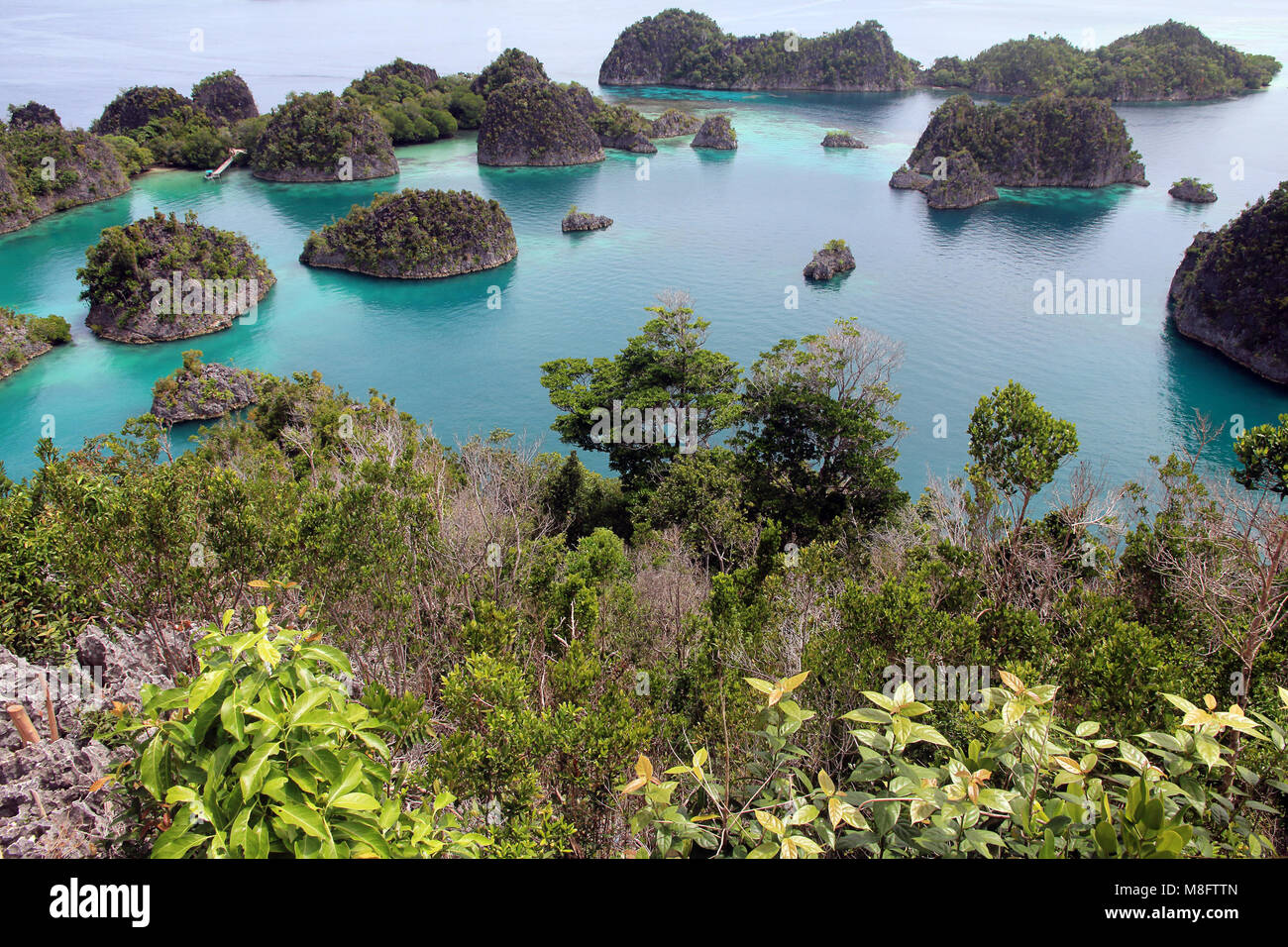 Waisai, Indonesia. 30th Dec, 2017. Raja Ampat Islands is a series of ...