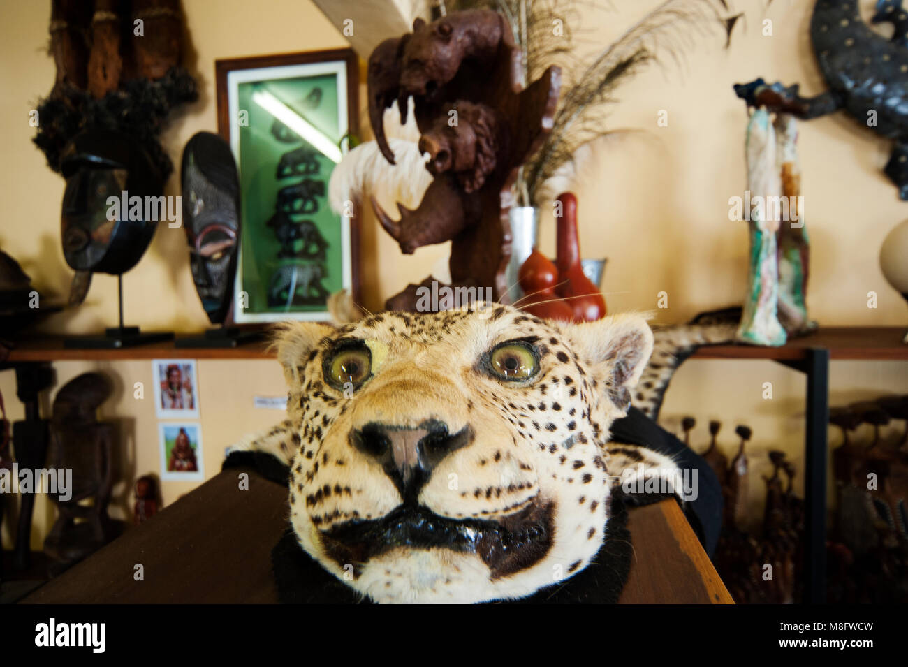 Leopard skin at a tourist shop at Outjo town, Namibia Stock Photo - Alamy