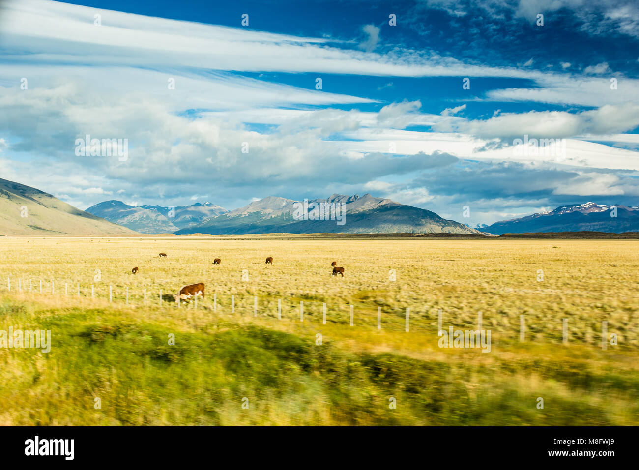 Vast Open Plains Stock Photos & Vast Open Plains Stock Images - Alamy