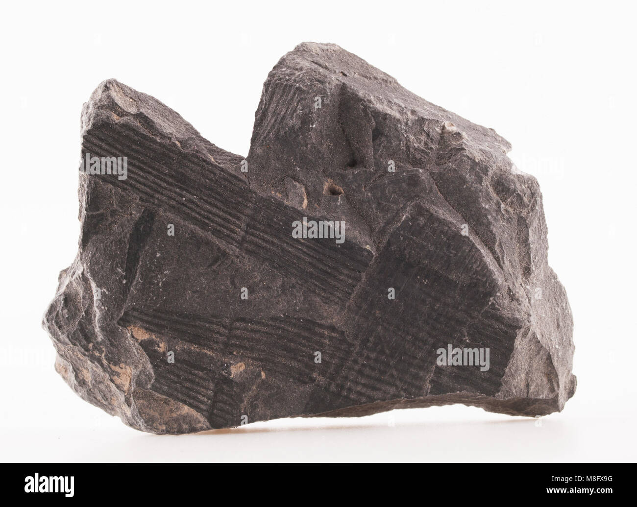 Cambrian period hi-res stock photography and images - Alamy