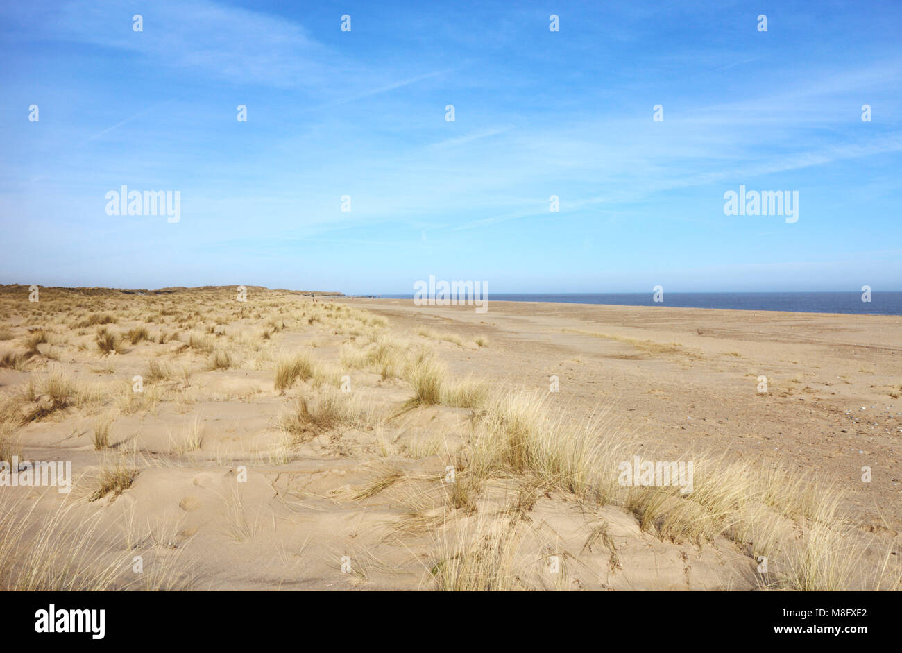 A view of primary dune formation and development on the East Norfolk ...