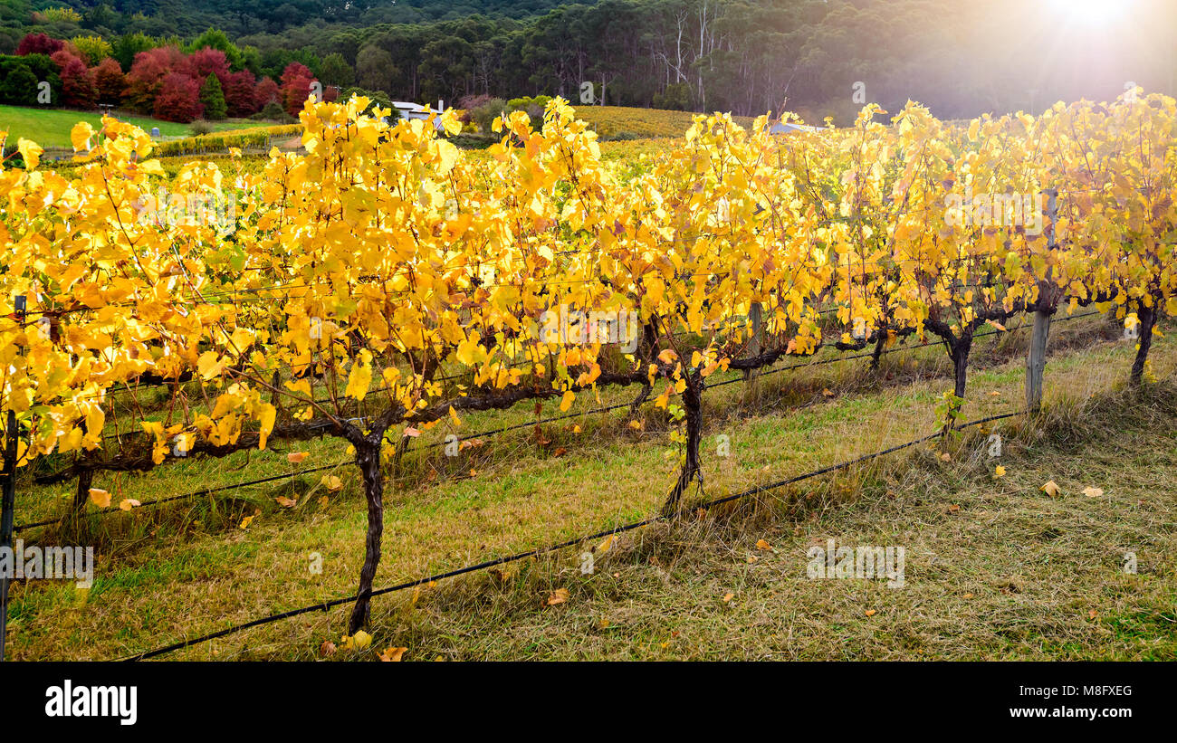 Adelaide Hills Scenic High Resolution Stock Photography and Images - Alamy