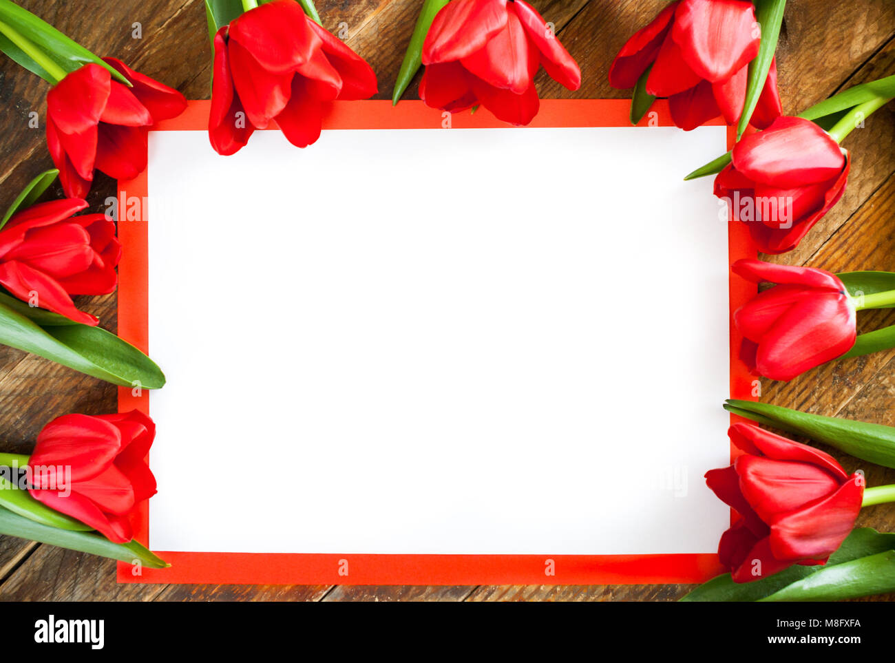 Greeting card. White blank sheet in red frame with copy space and red ...