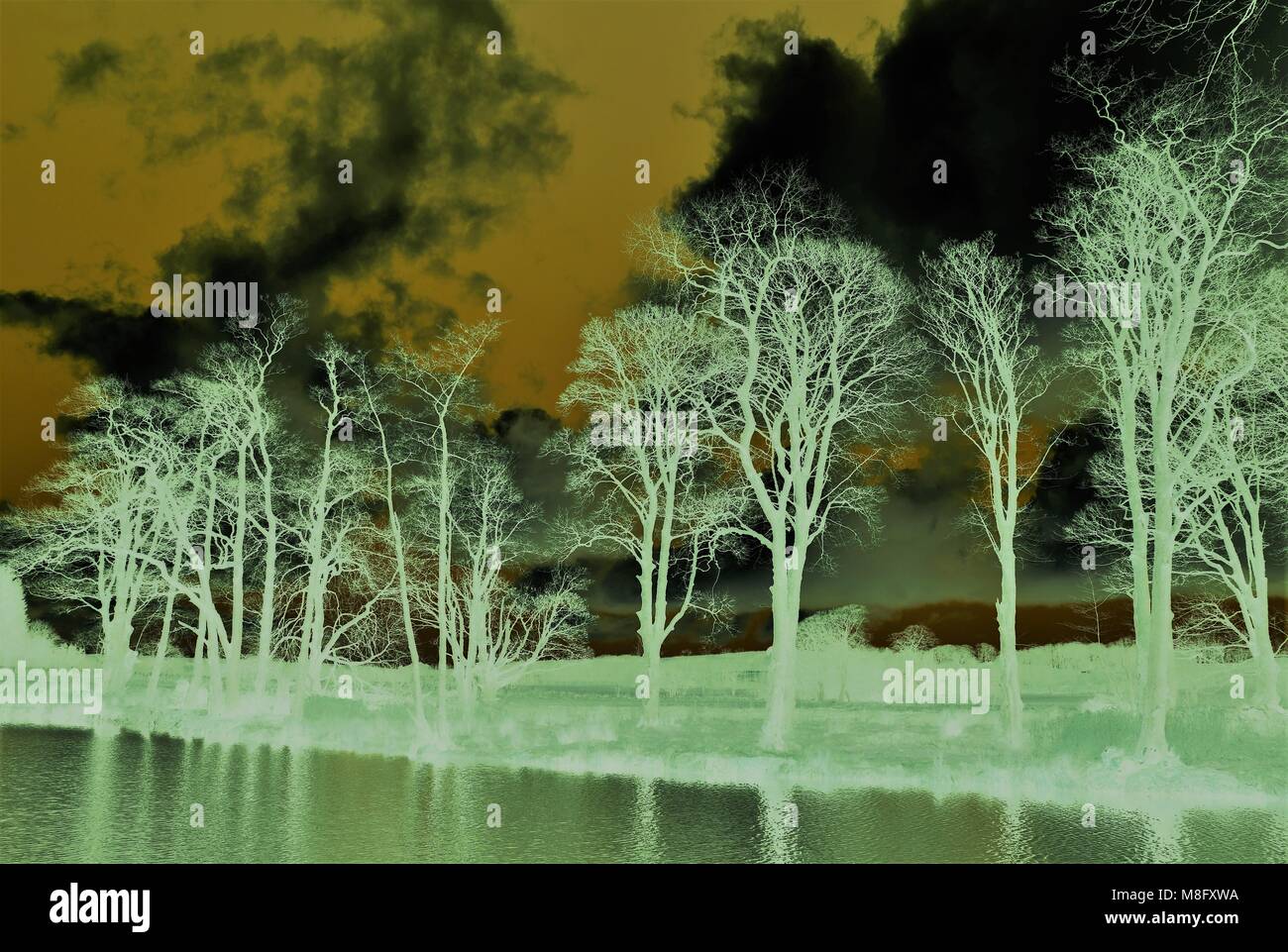 White silhouettes of line of trees, abstract background, forest ...