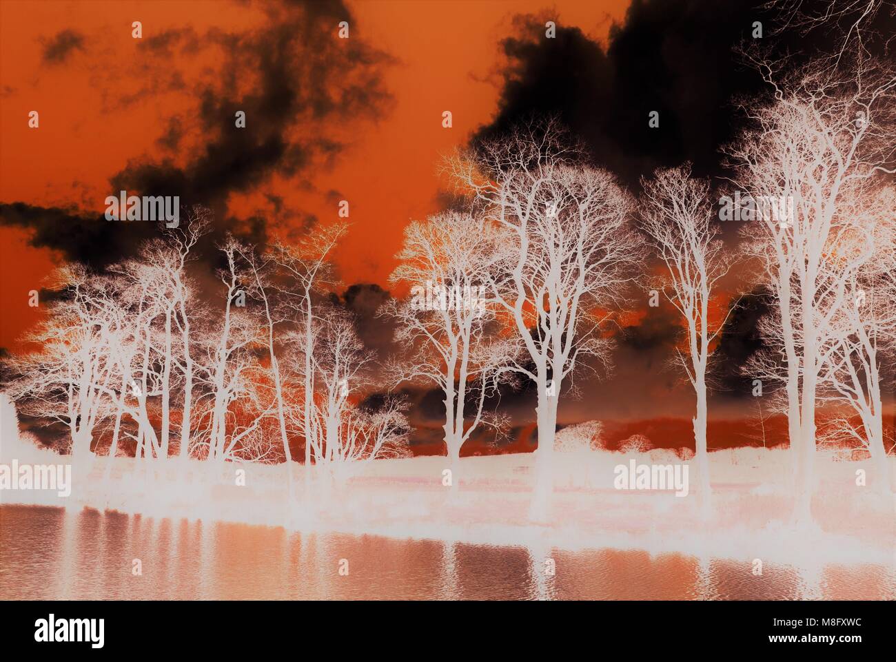 White silhouettes of line of trees, abstract background, forest ...