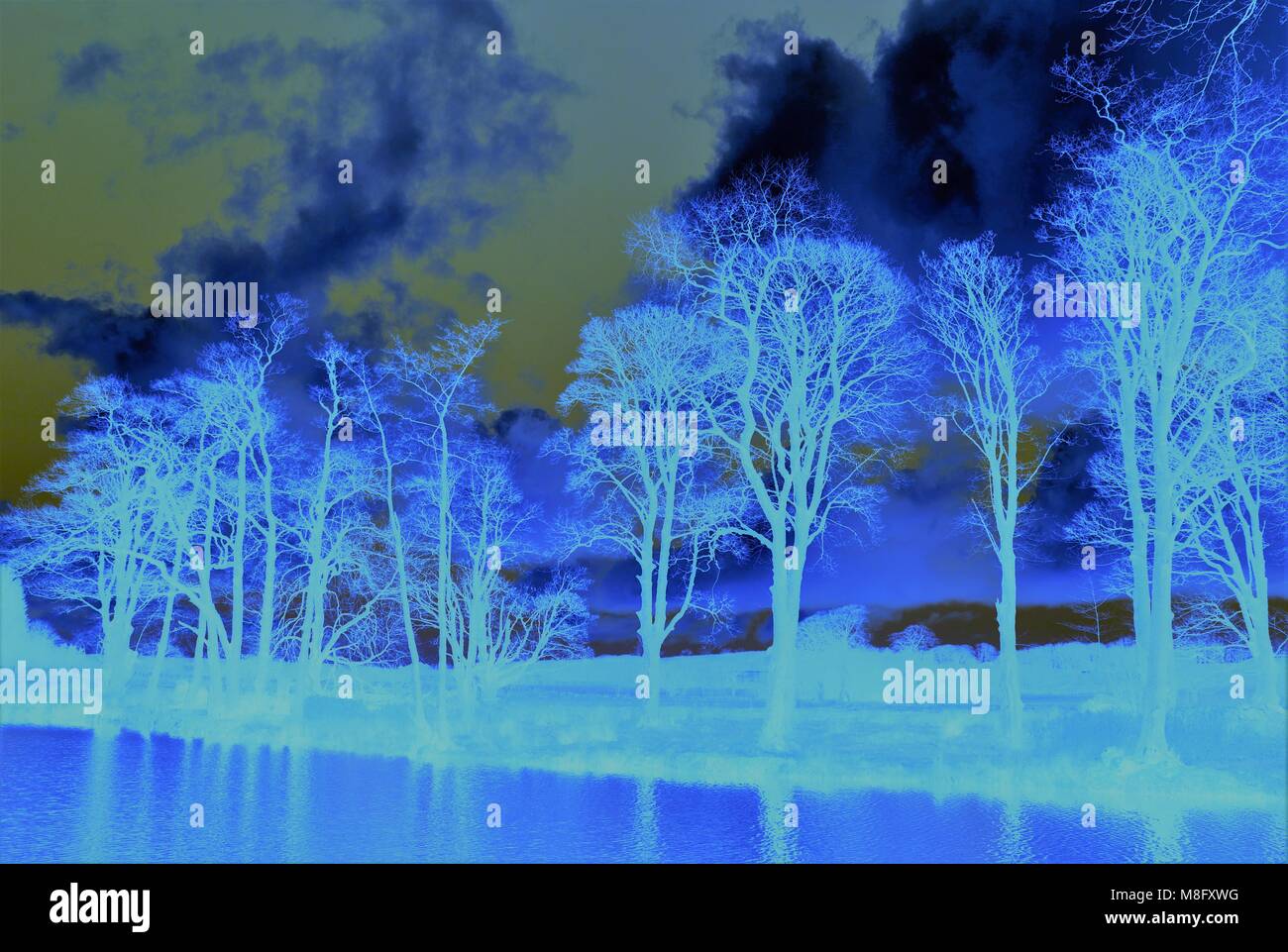 White silhouettes of line of trees, abstract background, forest ...