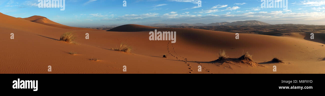 Morning in Sahara desert in Morocco Stock Photo - Alamy
