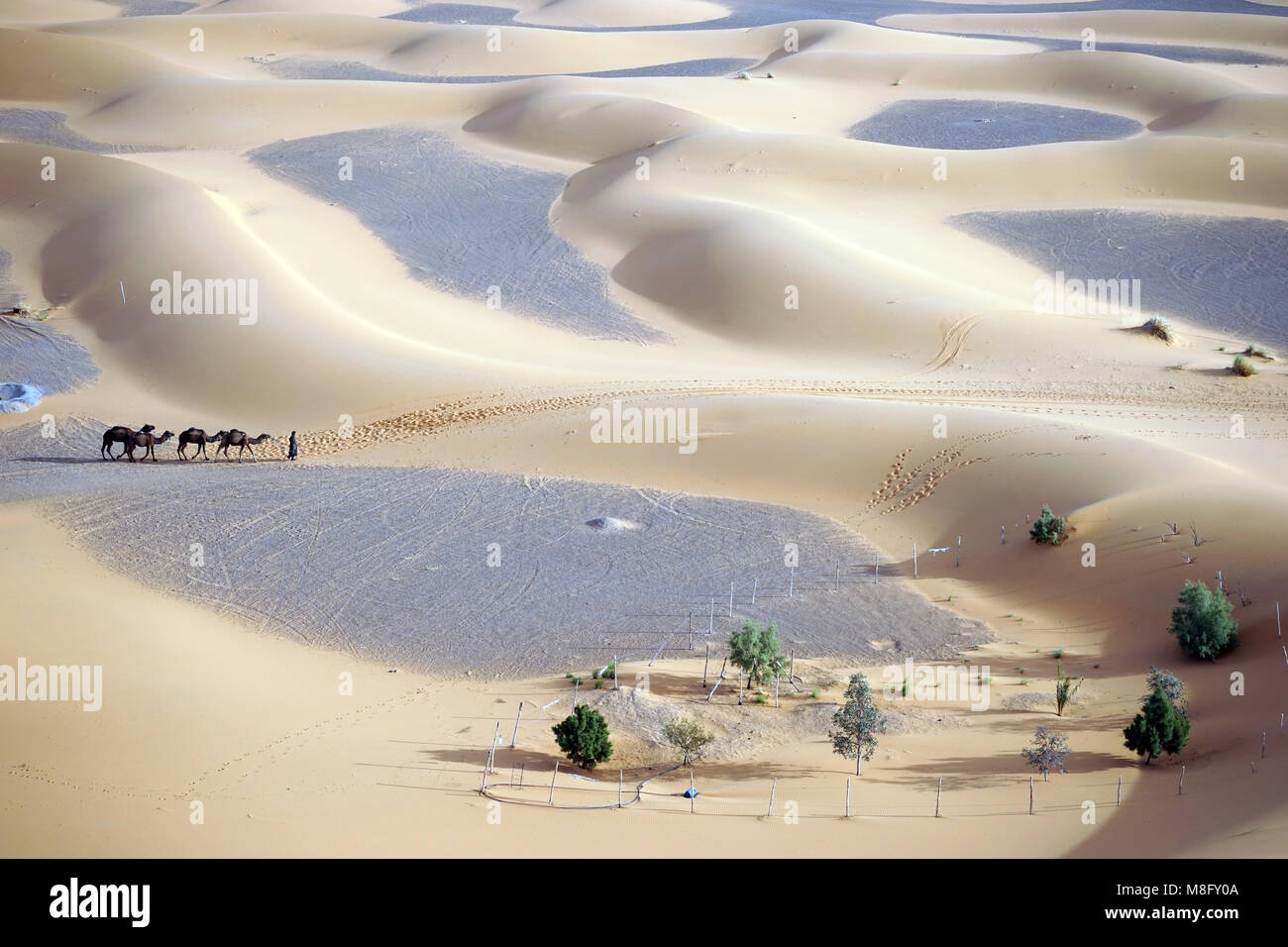 Caravan in Sahara desert Stock Photo - Alamy