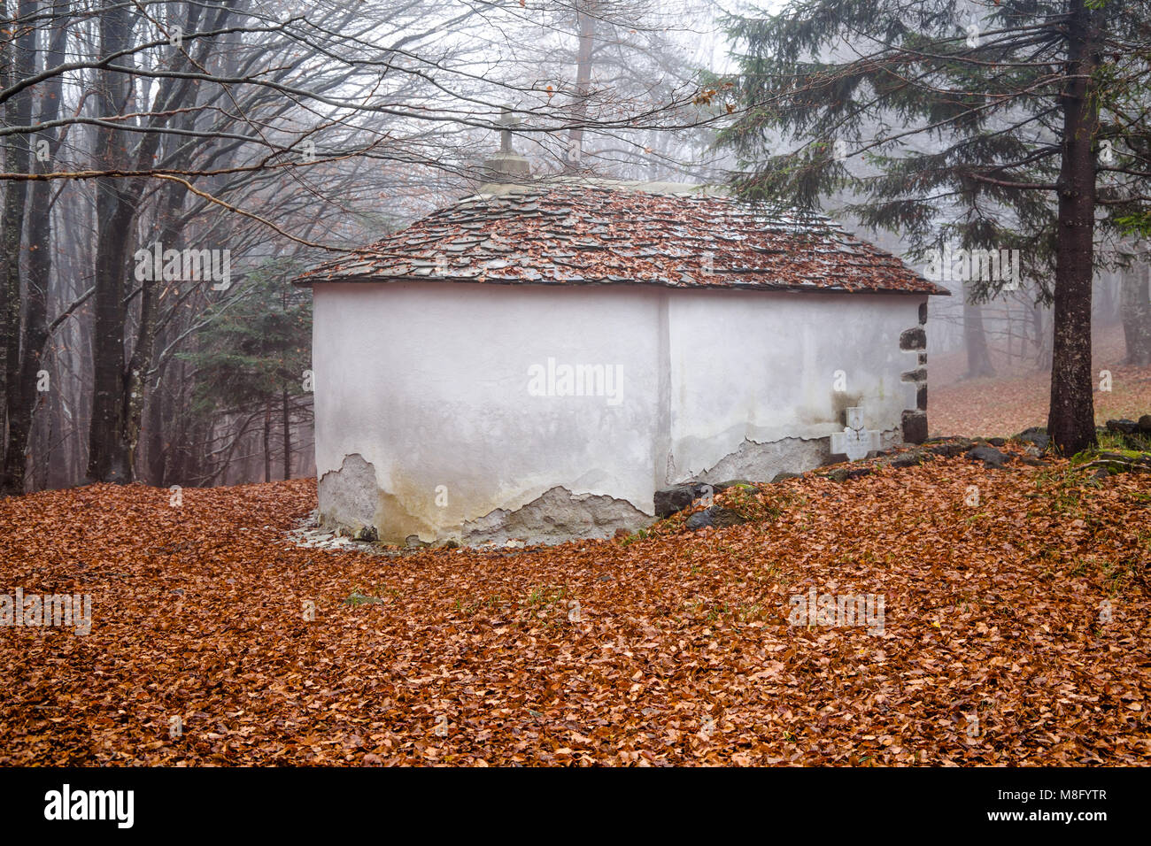 Small church in the forest Stock Photo - Alamy