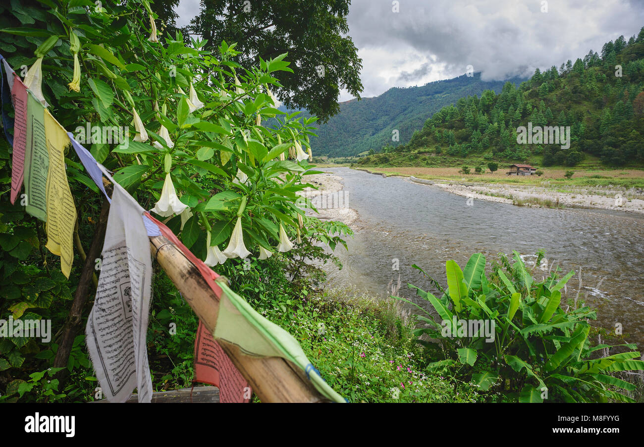 View across to the Kameng river flanked by thick vegetation and the ...