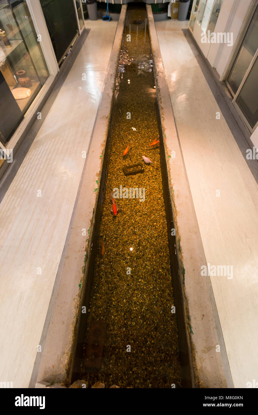 The Tyburn stream (which flows into the Thames) in the basement of Gray ...