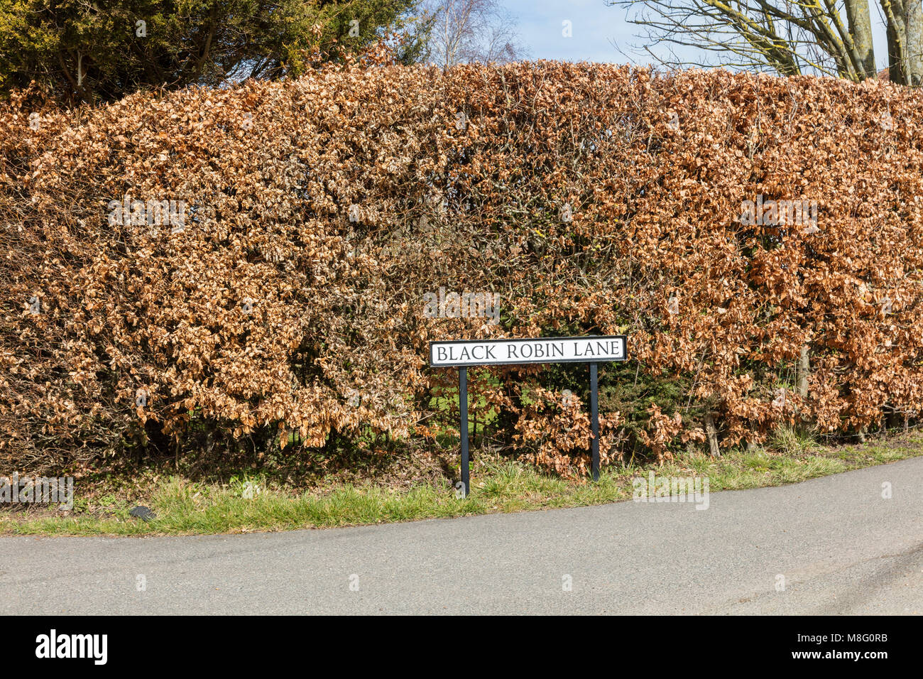Black robin lane hi-res stock photography and images - Alamy