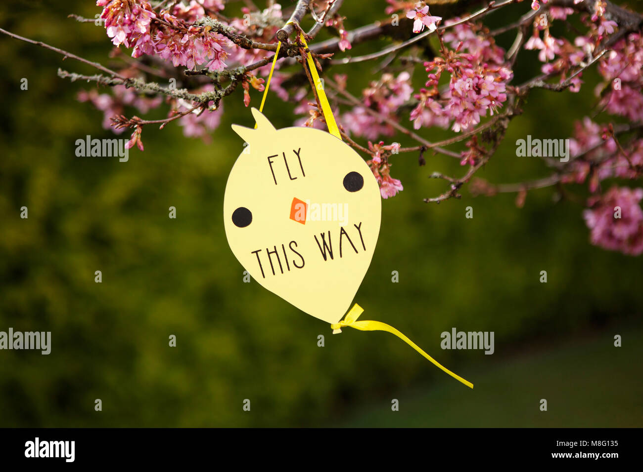 Fly this way sign, East egg hunt sign Stock Photo - Alamy