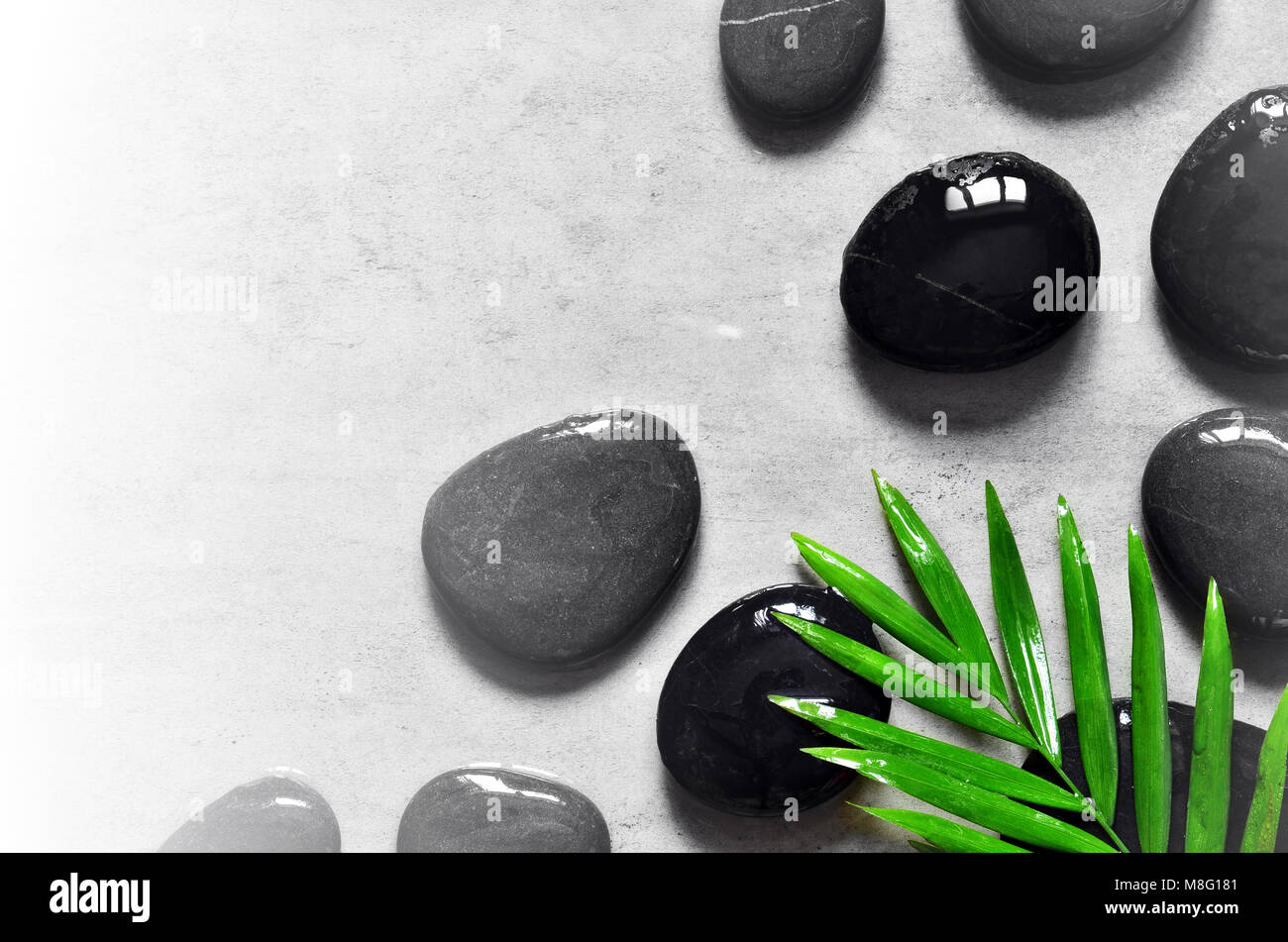 Grey spa background, moisturizing concept, palm leaves and black wet ...