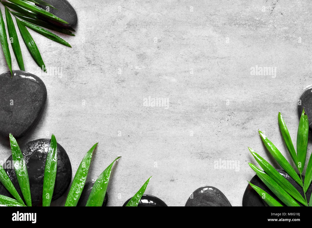 Grey spa background, moisturizing concept, palm leaves and black wet ...