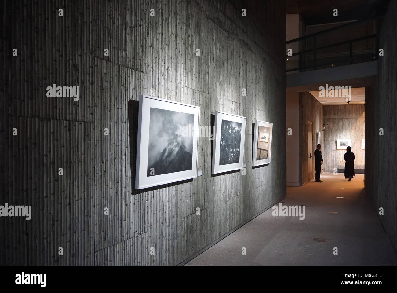 Fuyang Cultural Complex designed by architect Wang Shu (amateur ...