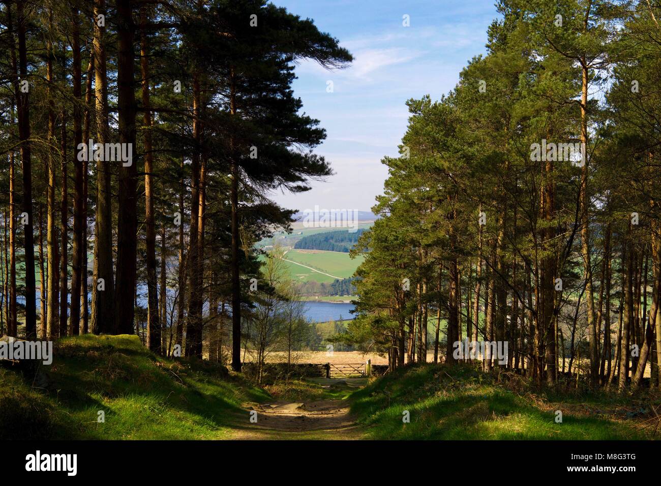 Leighton reservoir hi-res stock photography and images - Alamy
