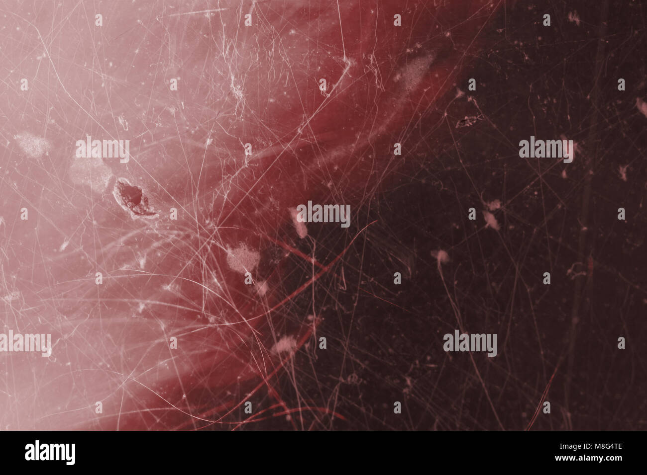 Spontaneous generation theory hi-res stock photography and images - Alamy