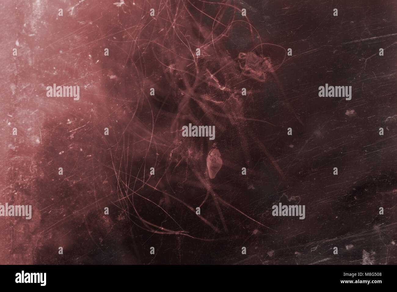 Living Organism Process High Resolution Stock Photography and Images ...