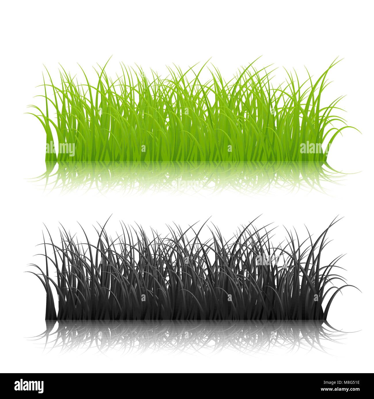 Grass isolated on abstract Stock Vector Images - Alamy