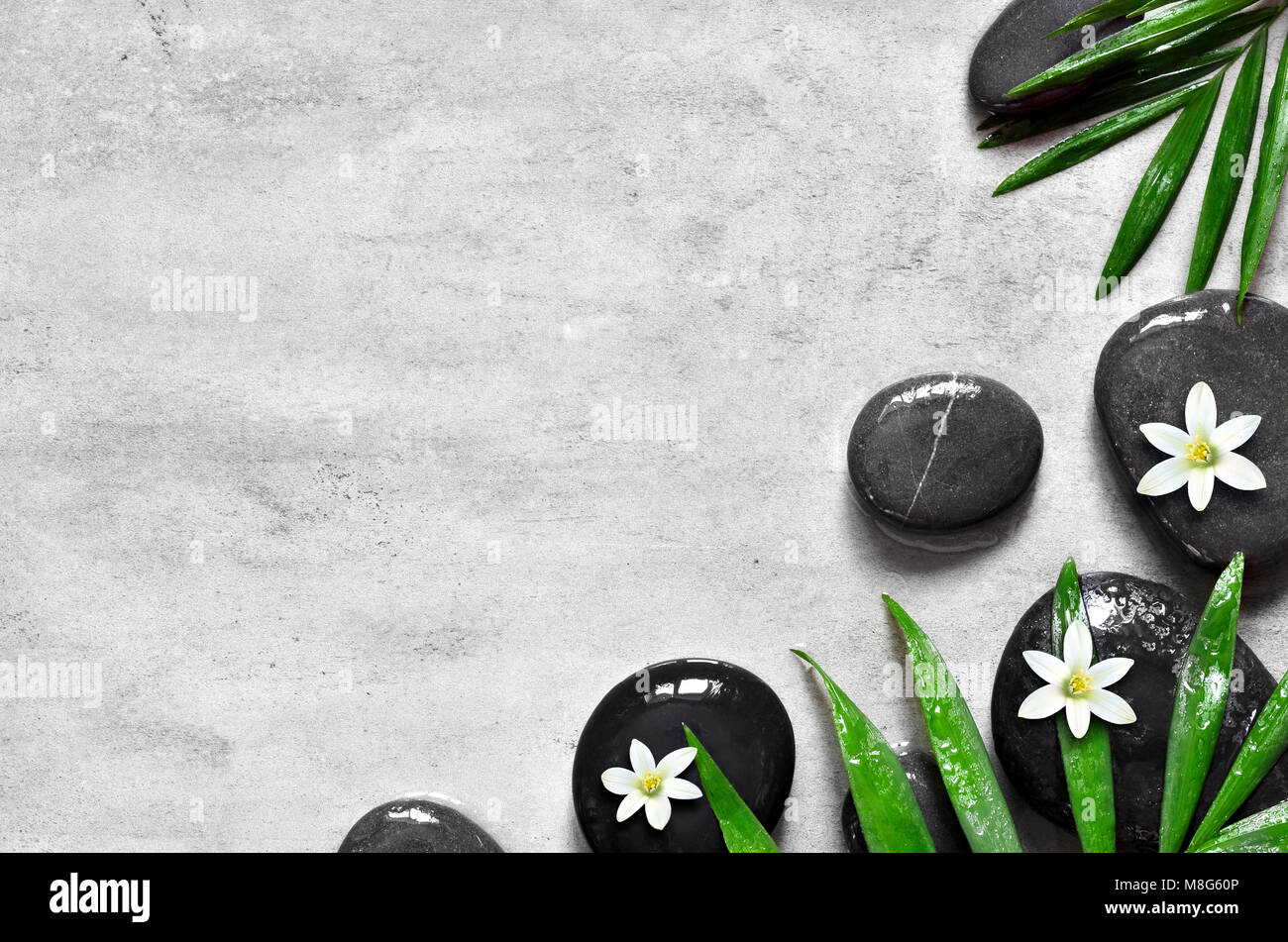 Grey spa background, moisturizing concept, palm leaves and black wet ...