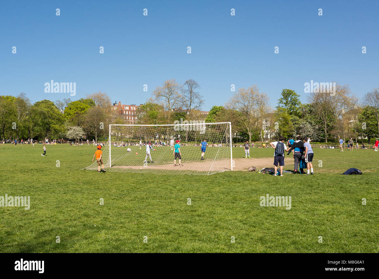 Holland park trees london hi-res stock photography and images - Alamy