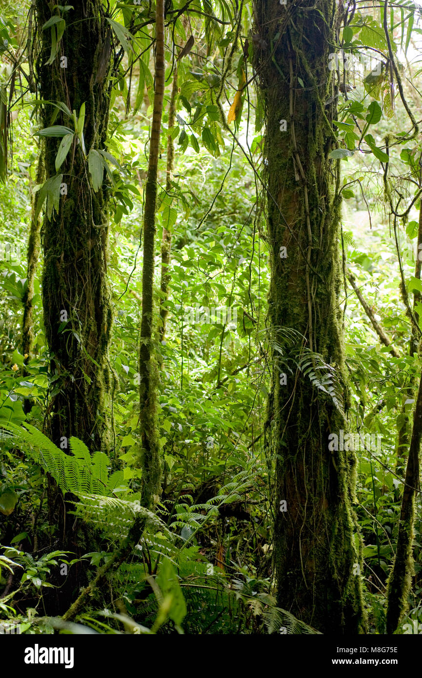 Kim trails hi-res stock photography and images - Alamy