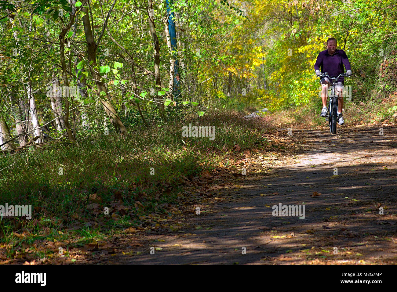 Senior citizen riding bike on trail Stock Photo - Alamy