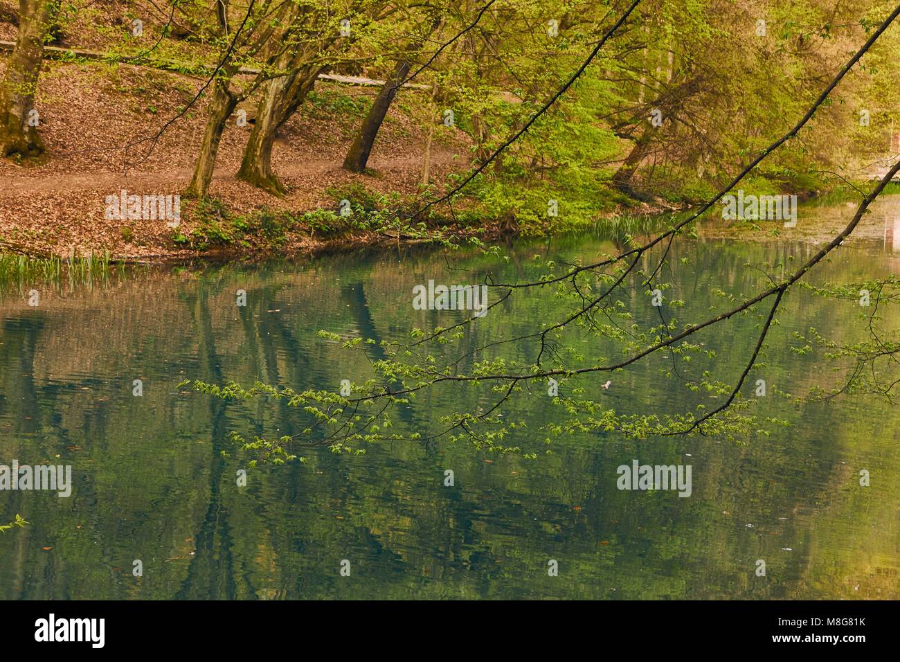 Small lake with trees Stock Photo - Alamy