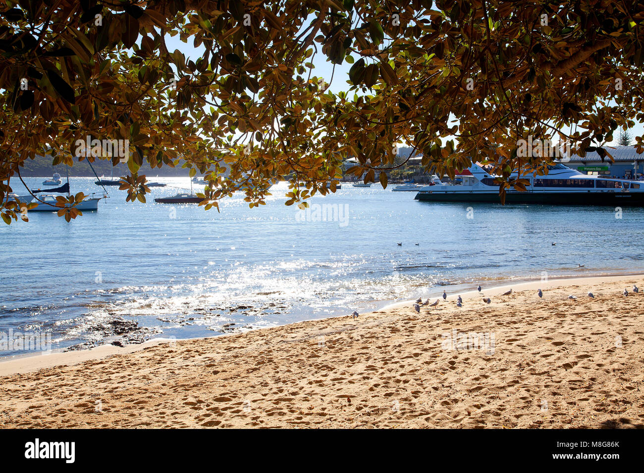 Watsons bay Sydney NSW 2017 Stock Photo - Alamy