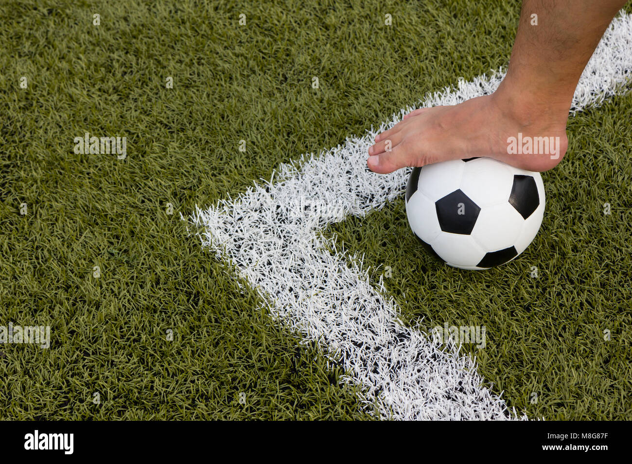 man foot on the soccer ball on field morning Stock Photo - Alamy