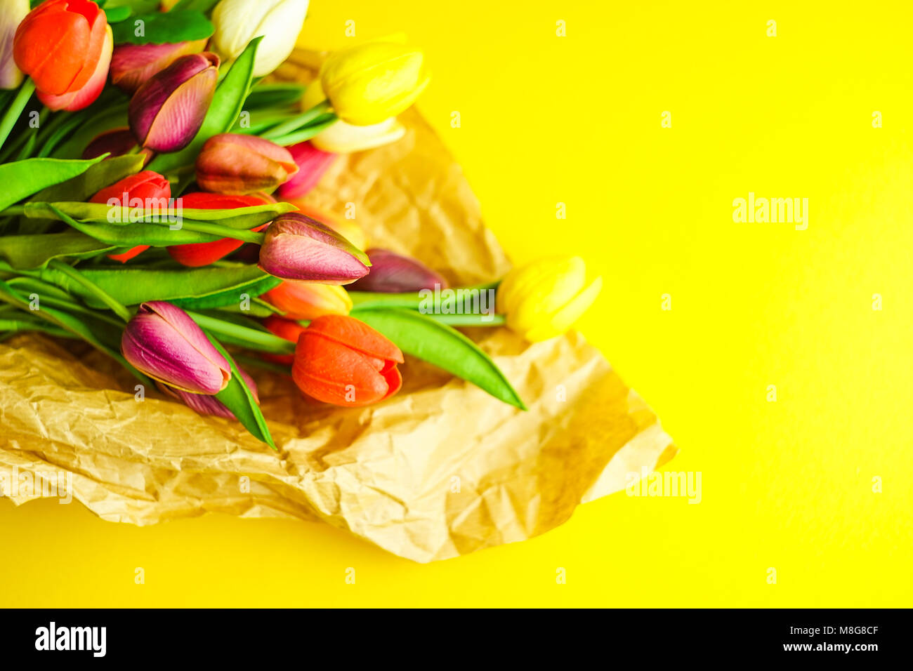 Spring card with tulip flowers on bright yellow background with copy ...