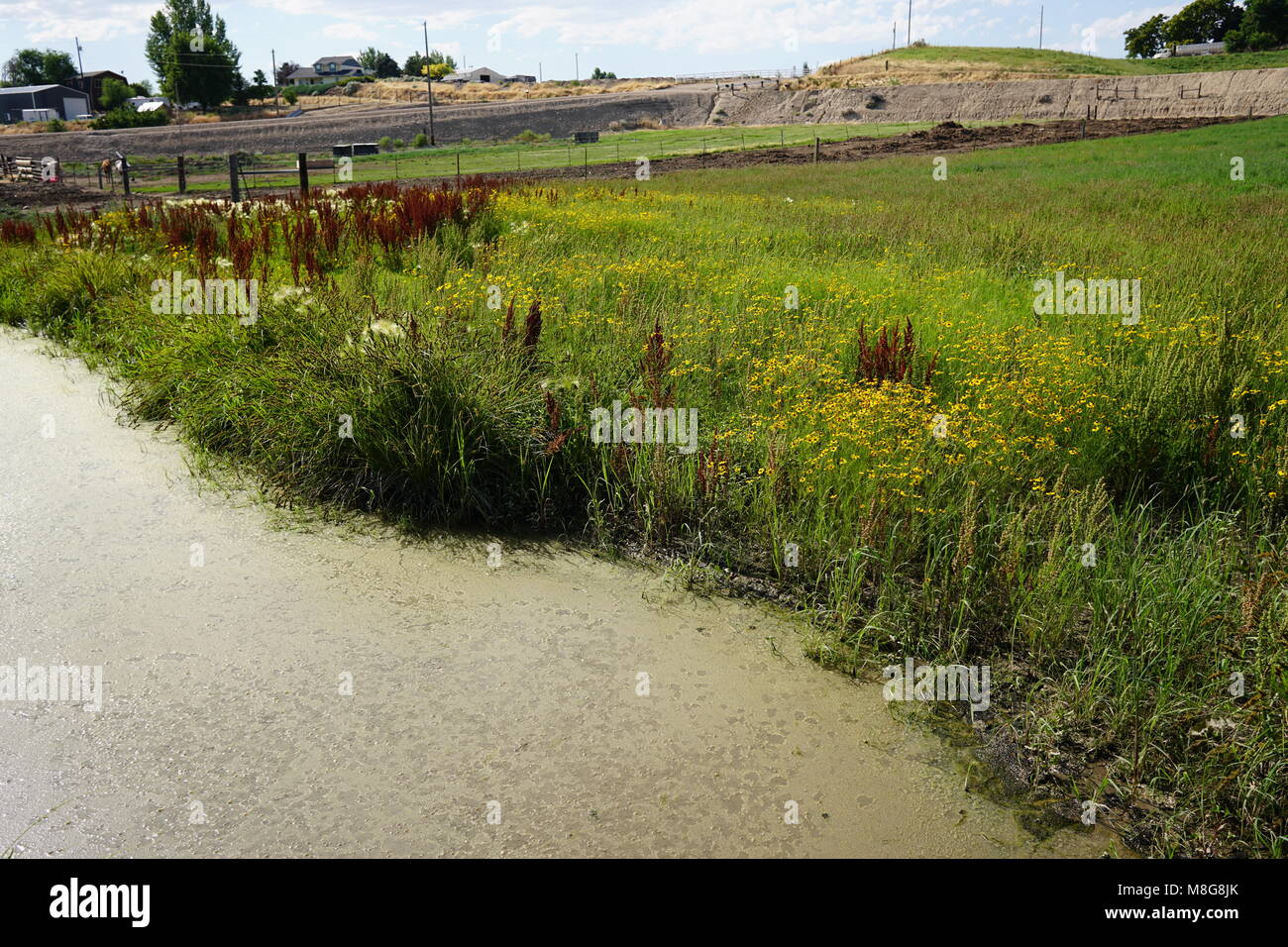 Mossy bottom farm hi-res stock photography and images - Alamy
