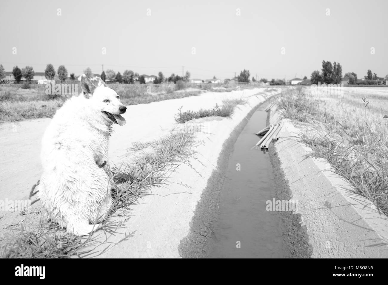 Irrigation ditch Black and White Stock Photos & Images - Alamy