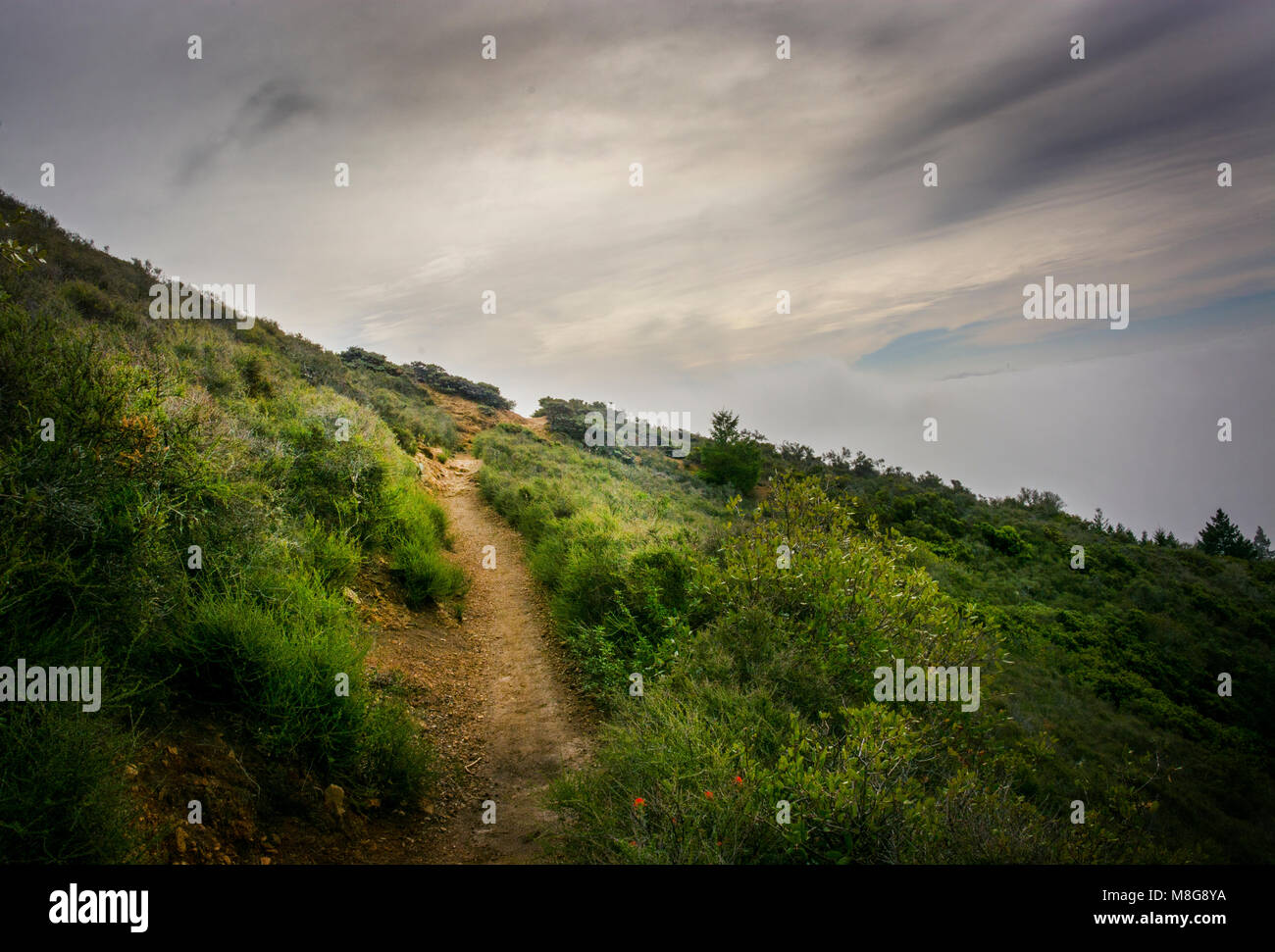 Mount Davis High Resolution Stock Photography and Images - Alamy