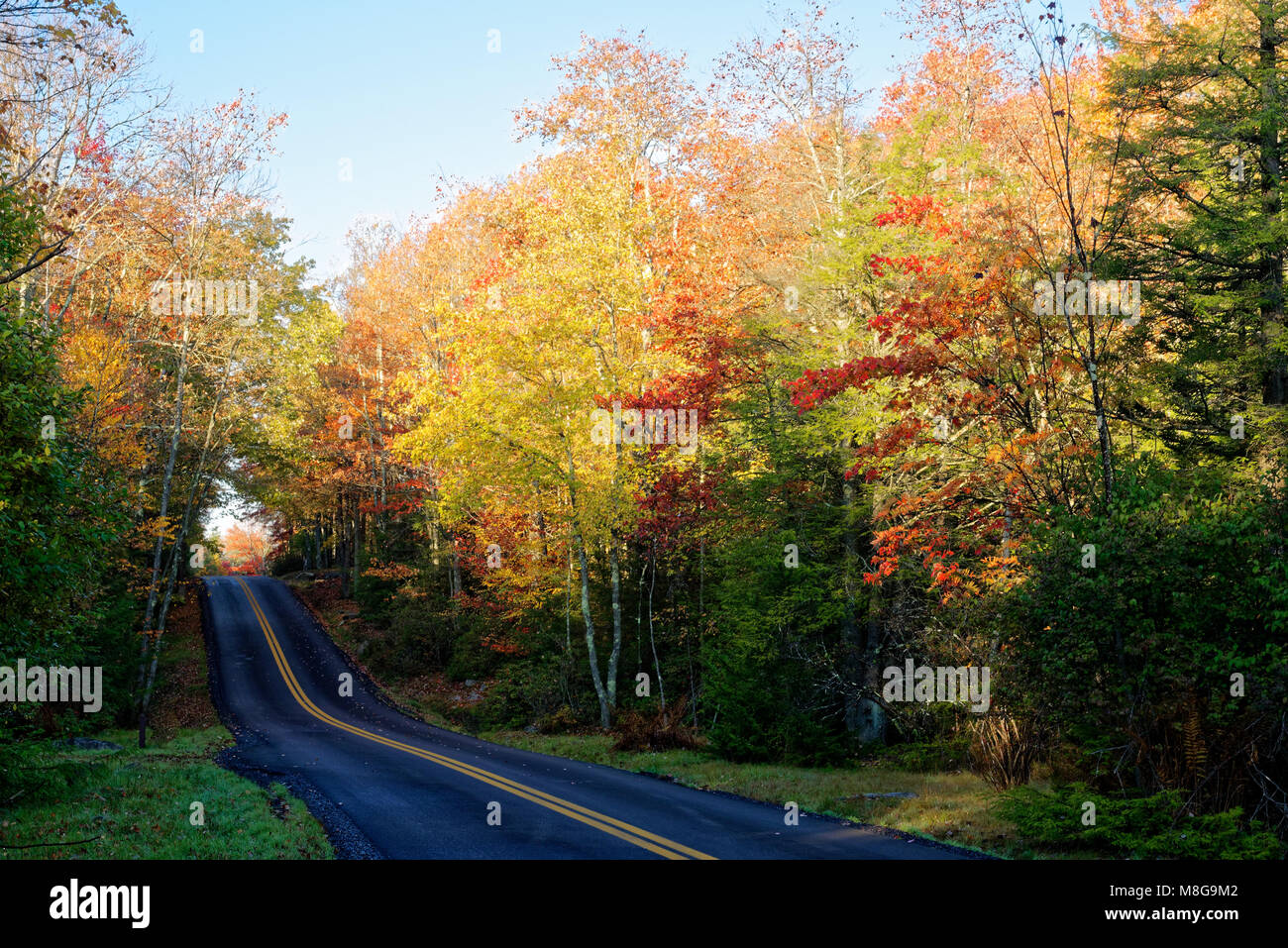 West virginia fall foliage hi-res stock photography and images - Alamy