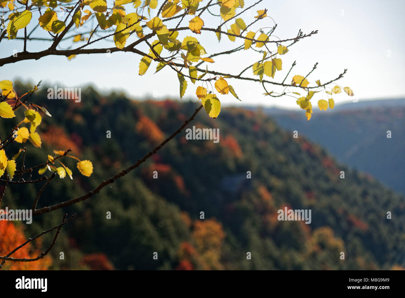 West virginia fall foliage hi-res stock photography and images - Alamy