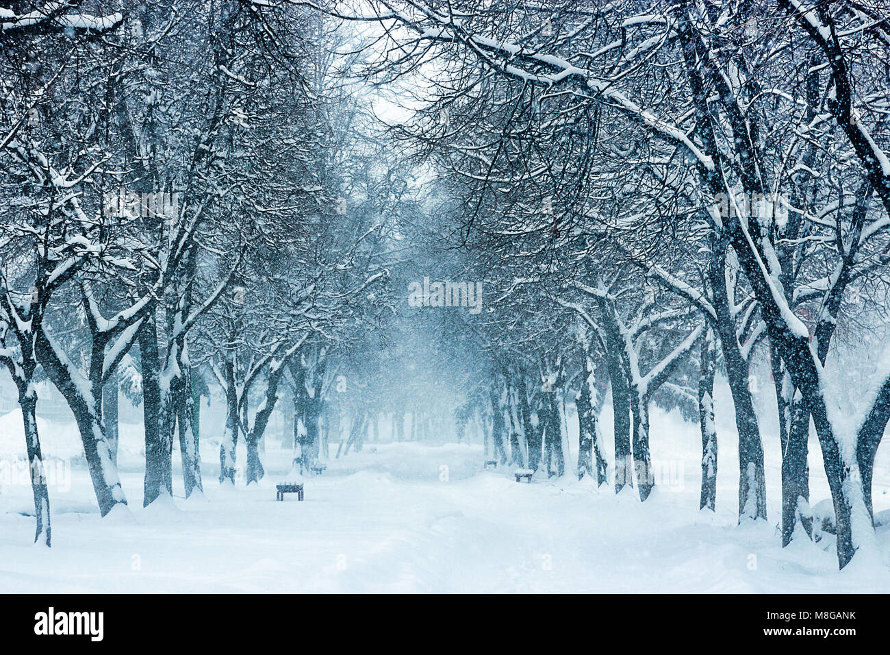 Cold and blizzard hi-res stock photography and images - Alamy