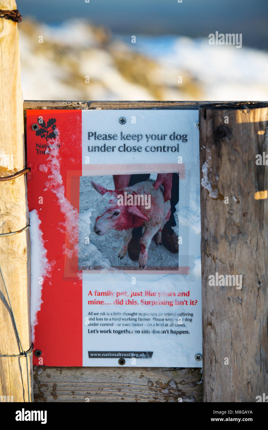 Keeping dogs under control hi-res stock photography and images - Alamy