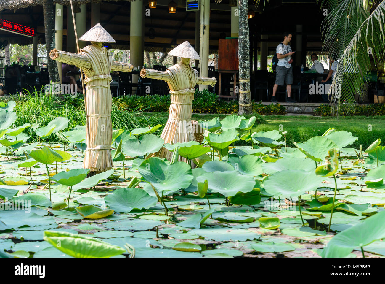 Bamboo figures among water lilies on a pond, Vietnam Stock Photo - Alamy