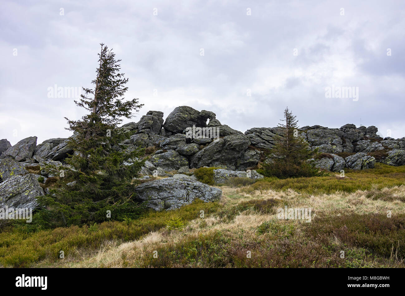Rock formations and vegetation on Great Arber Mountain (Großer Arber ...