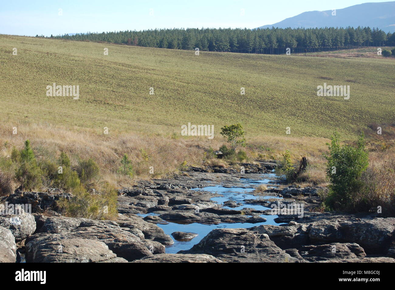 Stream in Mountain Stock Photo - Alamy
