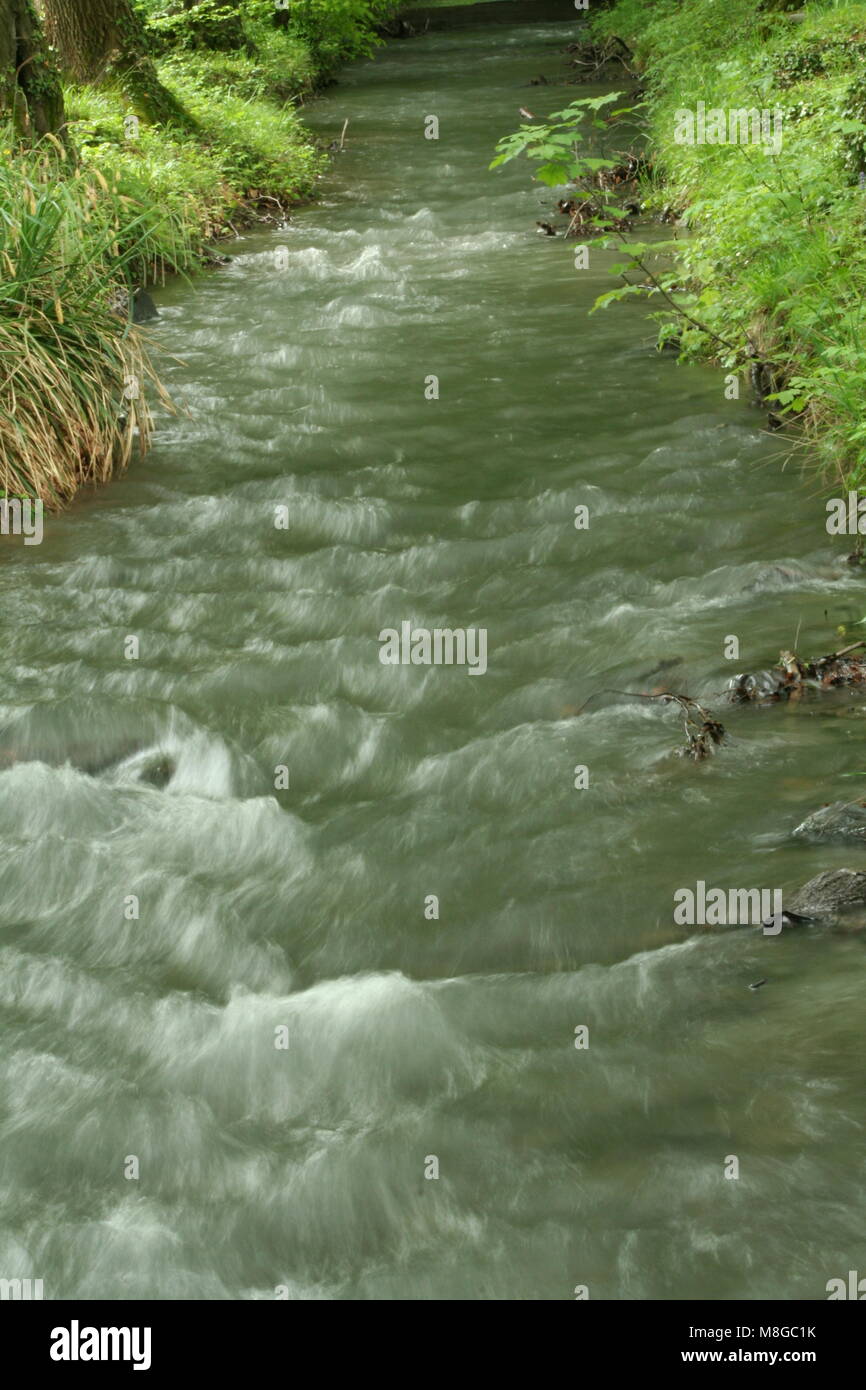 stream of water in the forest Stock Photo - Alamy