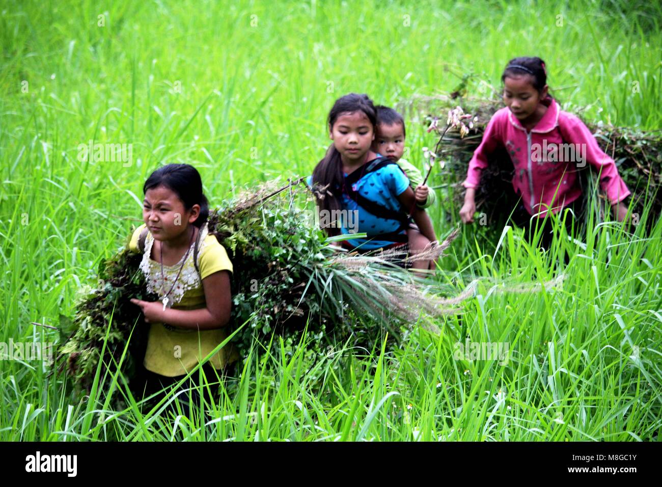 Child Labor High Resolution Stock Photography and Images - Alamy