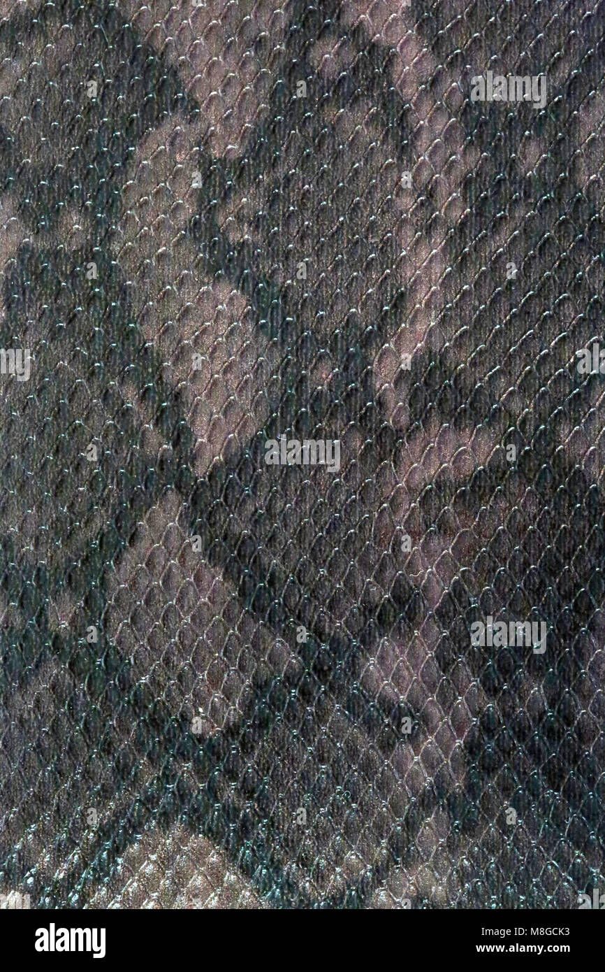 Closeup detail of the snake skin leather Stock Photo - Alamy