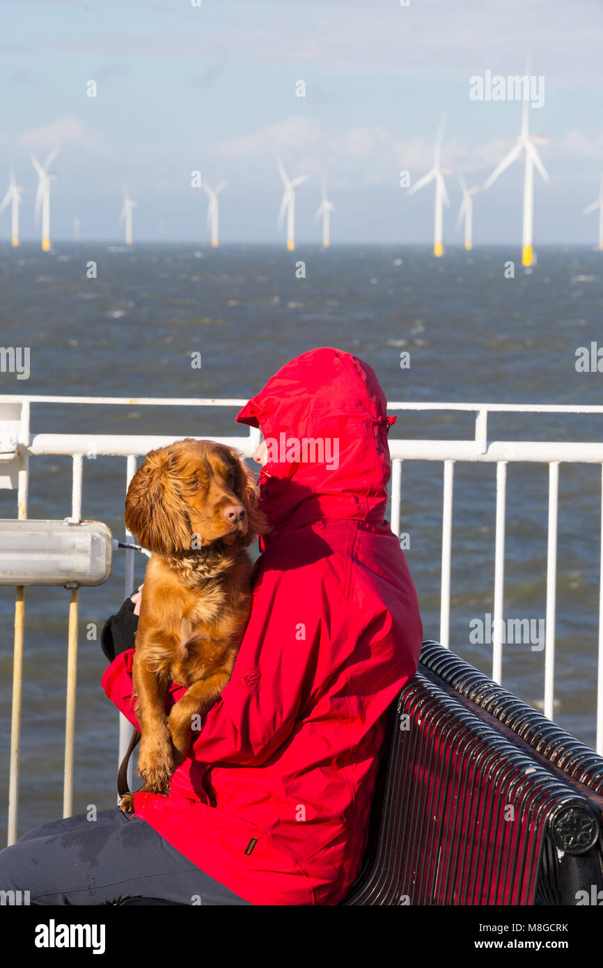 Part of the Walney Offshore Wind Farm between Cumbria and the Isle of ...
