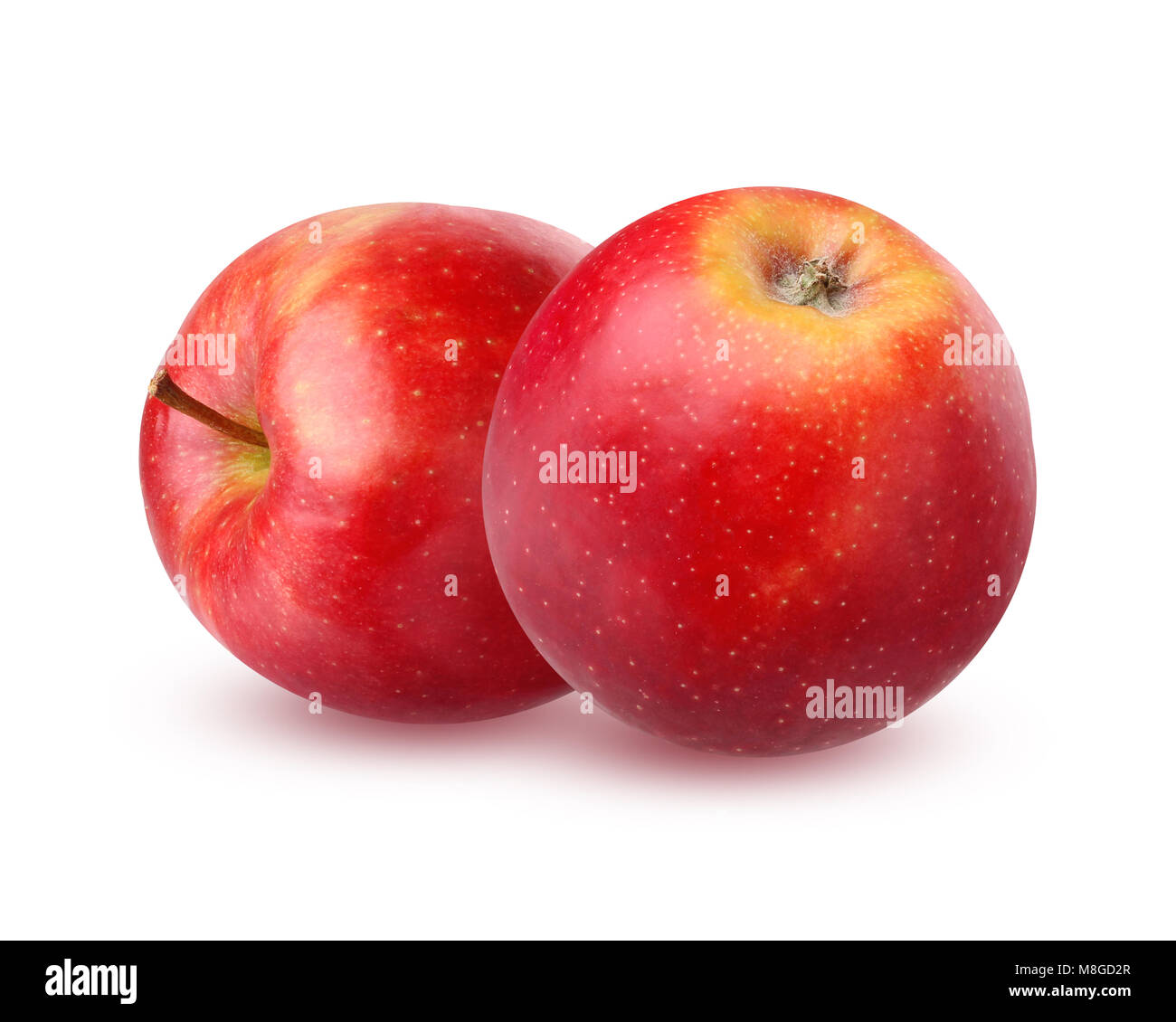 two red Apple with shadow, isolated on white background Stock Photo - Alamy