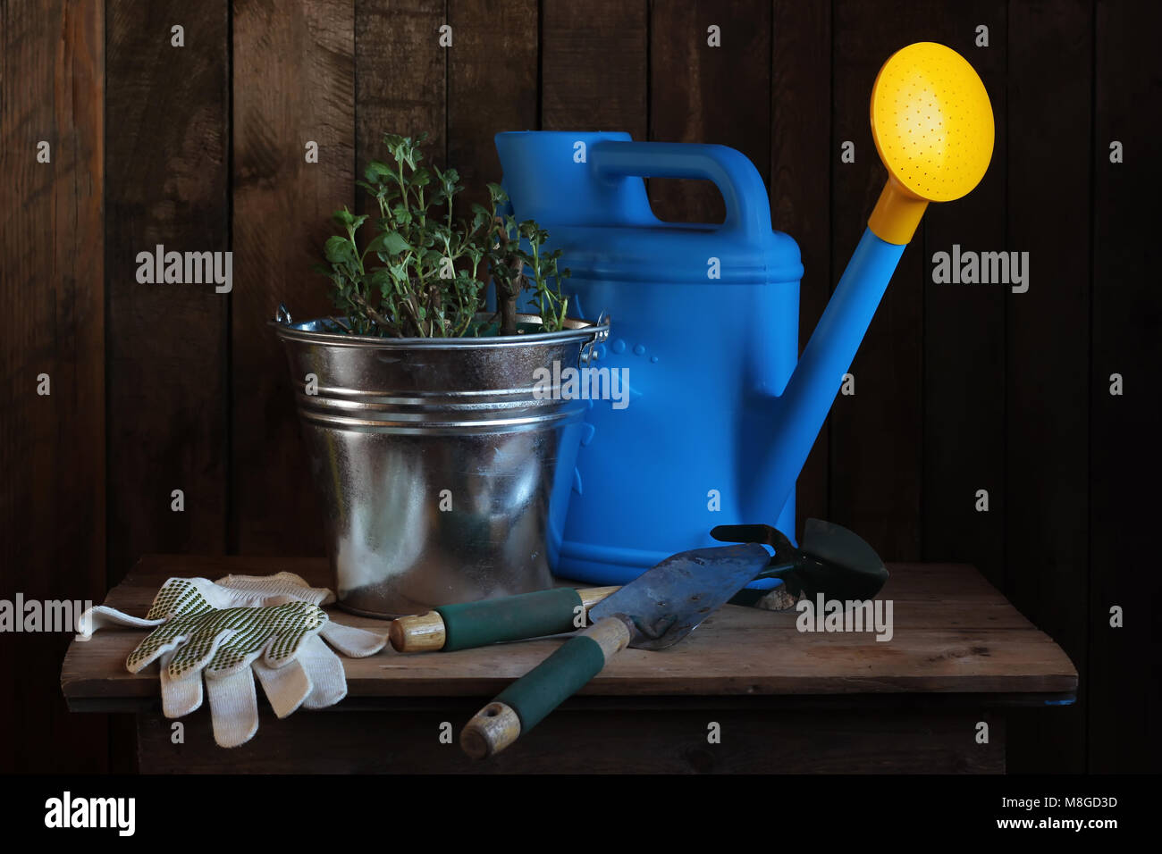 Still life gardening tools flowers hi-res stock photography and images ...
