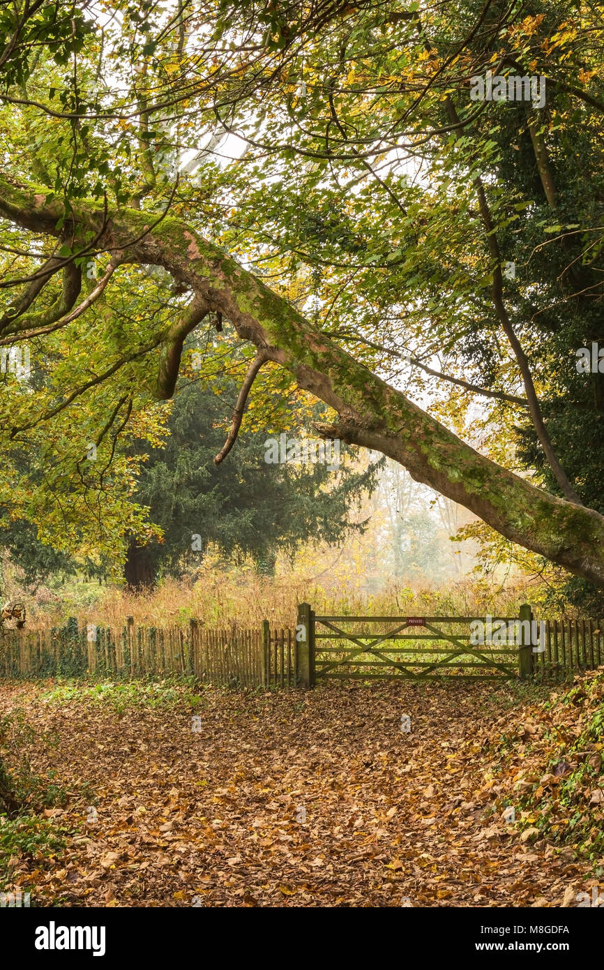 Arundel wildlife hi-res stock photography and images - Alamy